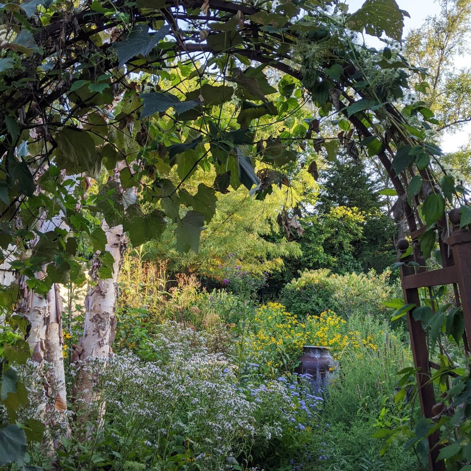 Rethink Pretty in Suburbia with Natural Garden Design