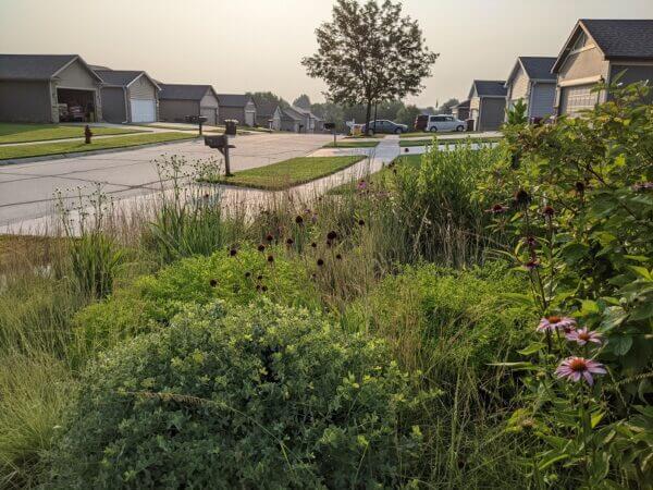 Why Intentional Design is Critical In Natural Gardens