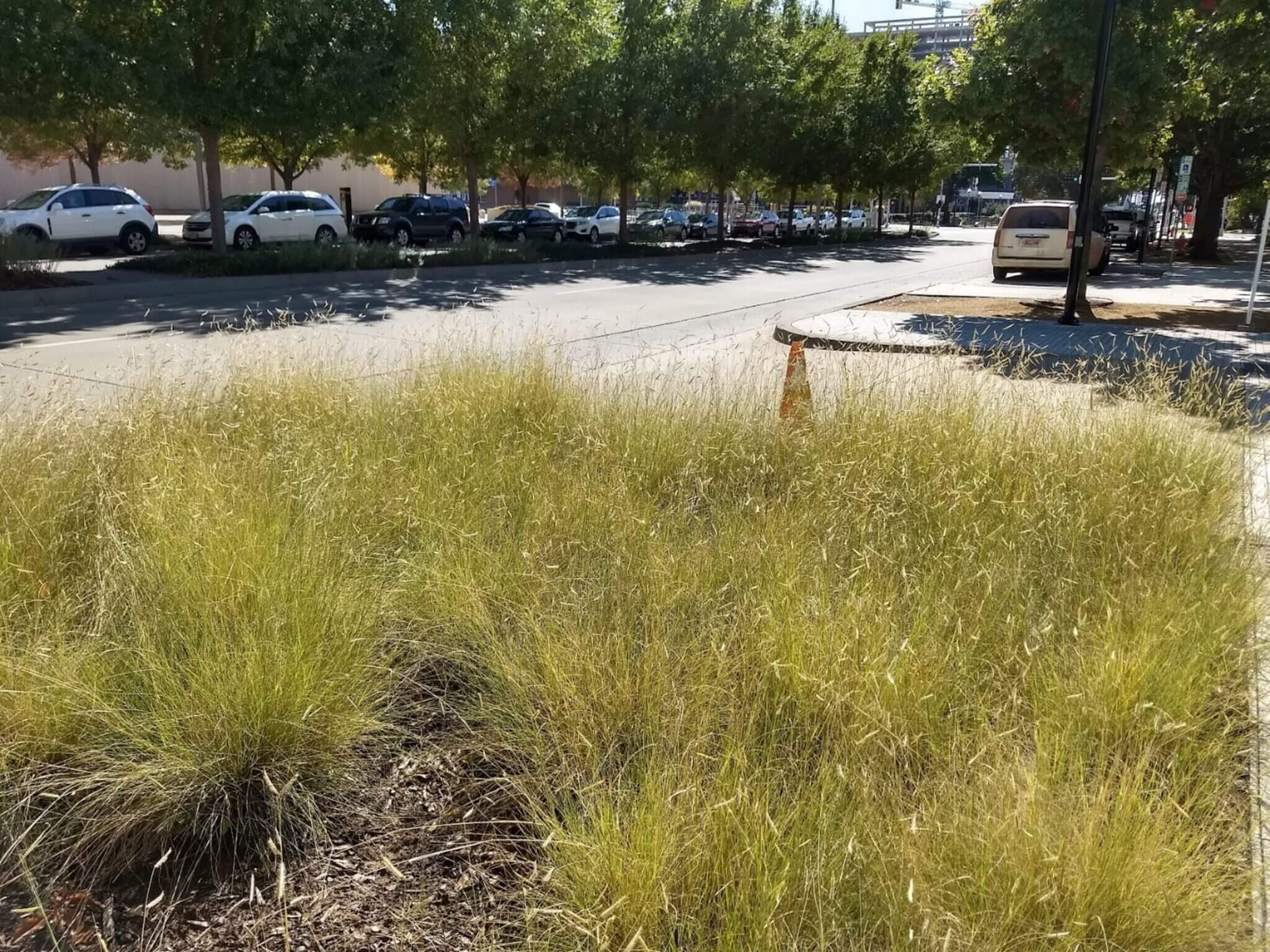 Best Method to Design Gardens Naturally? The Matrix.