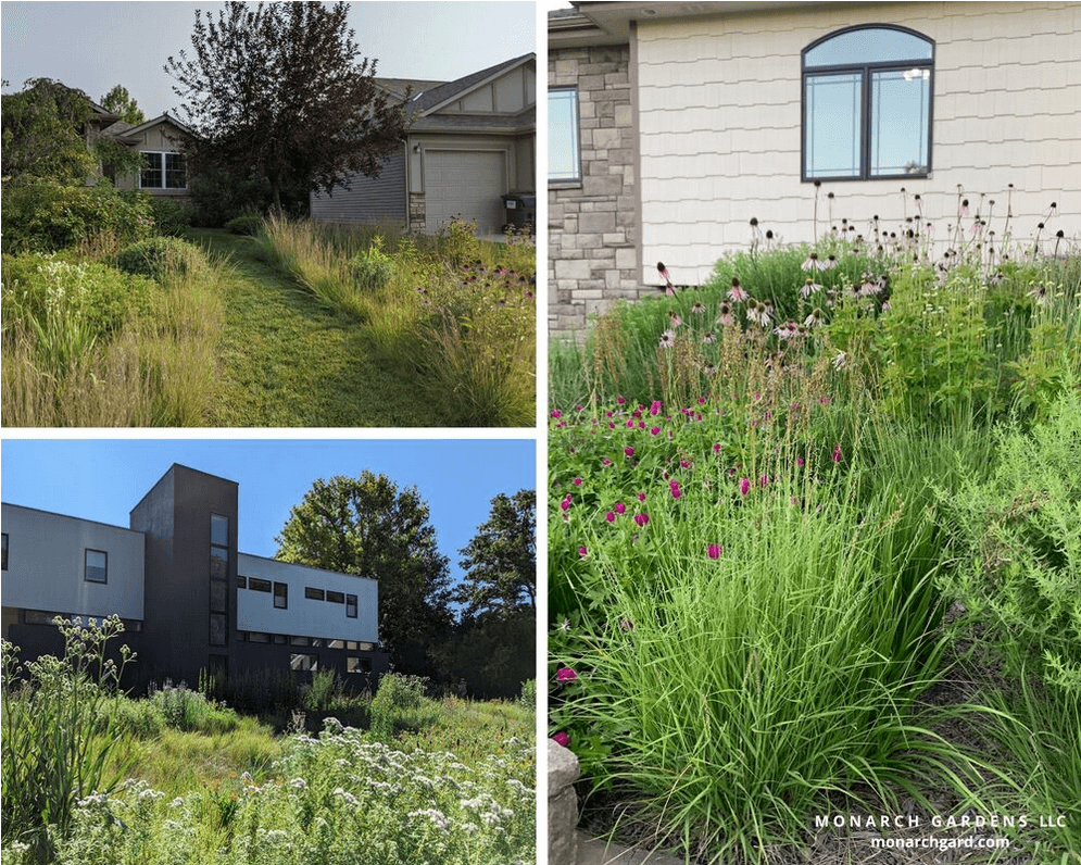Just Say No to No Mow May - Prairie Up