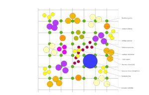 Best Method to Design Gardens Naturally? The Matrix.