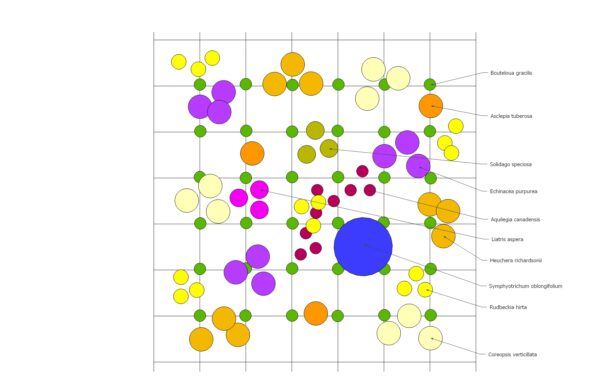 Best Method to Design Gardens Naturally? The Matrix.
