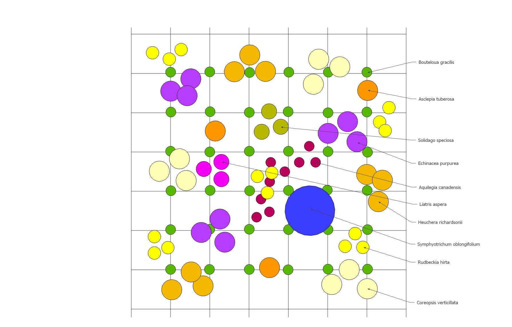 Best Method to Design Gardens Naturally? The Matrix.