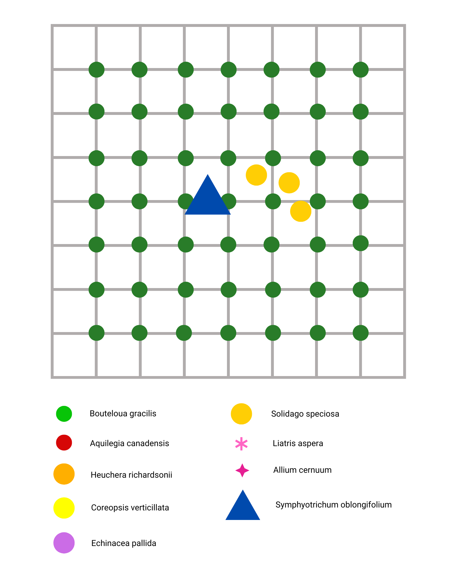 Let's Design a Natural Garden Step by Step
