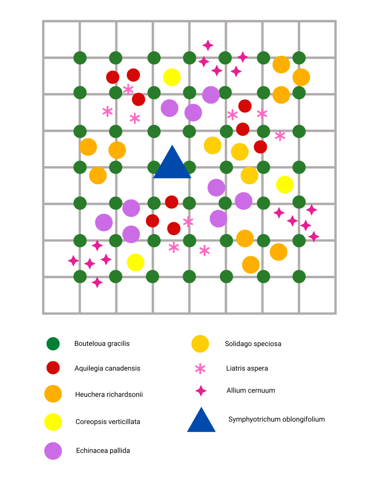 Let's Design a Natural Garden Step by Step