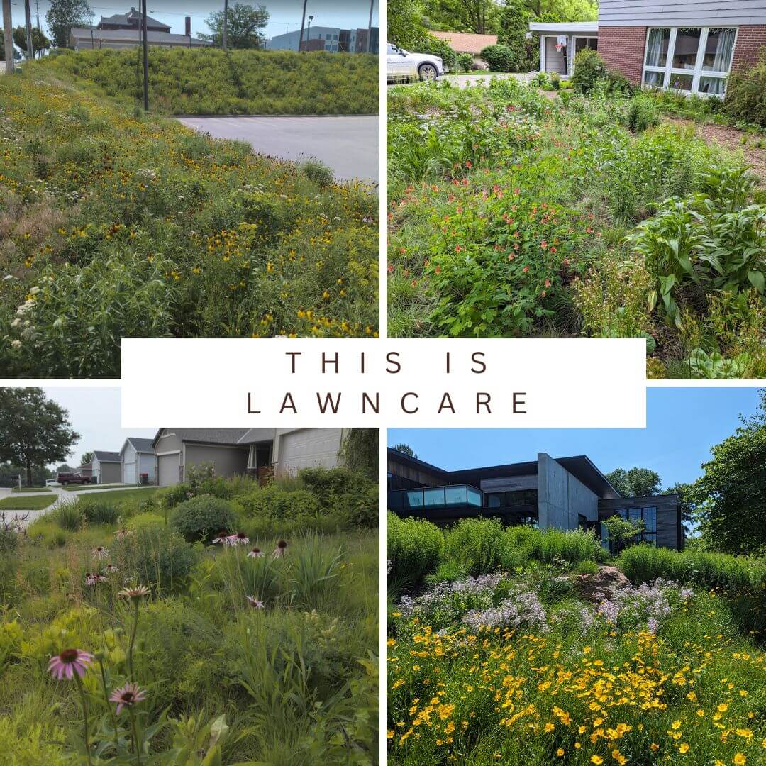Get the Prairie Up Newsletter and Take Back the Lawn